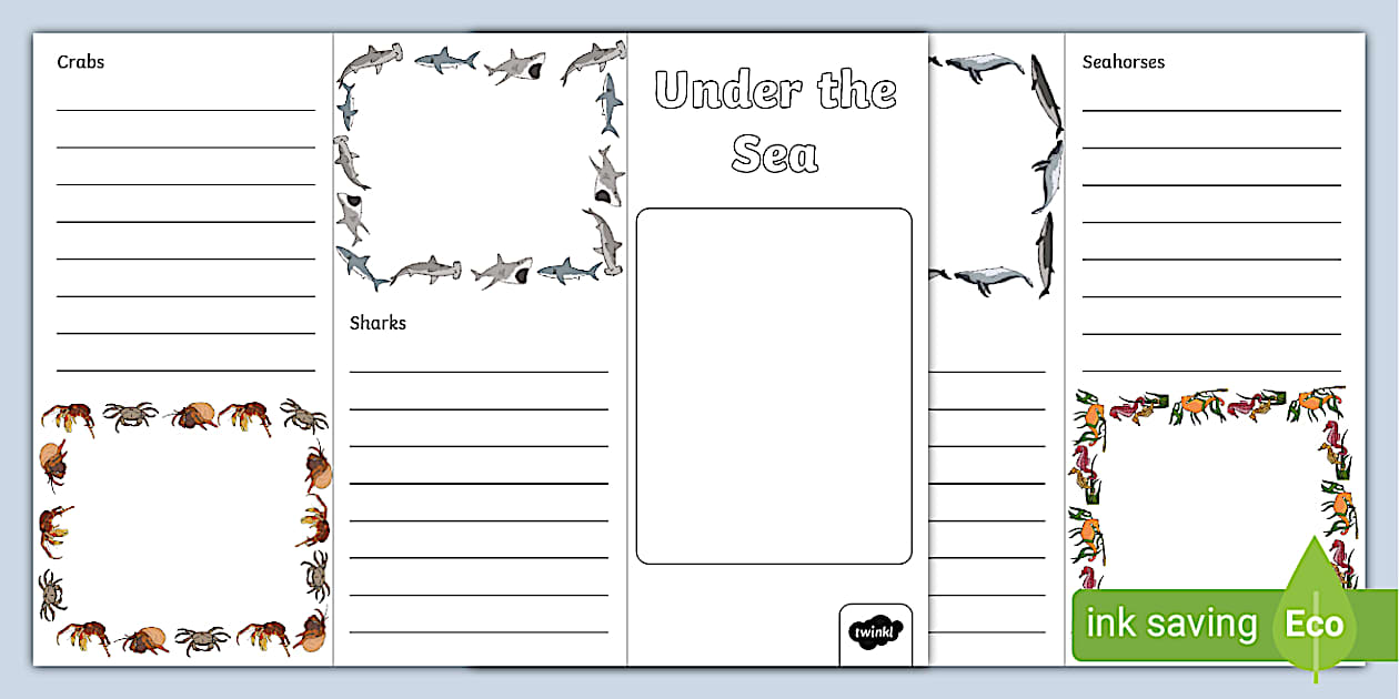 Sea Animal Leaflet Template (Teacher-Made) - Twinkl