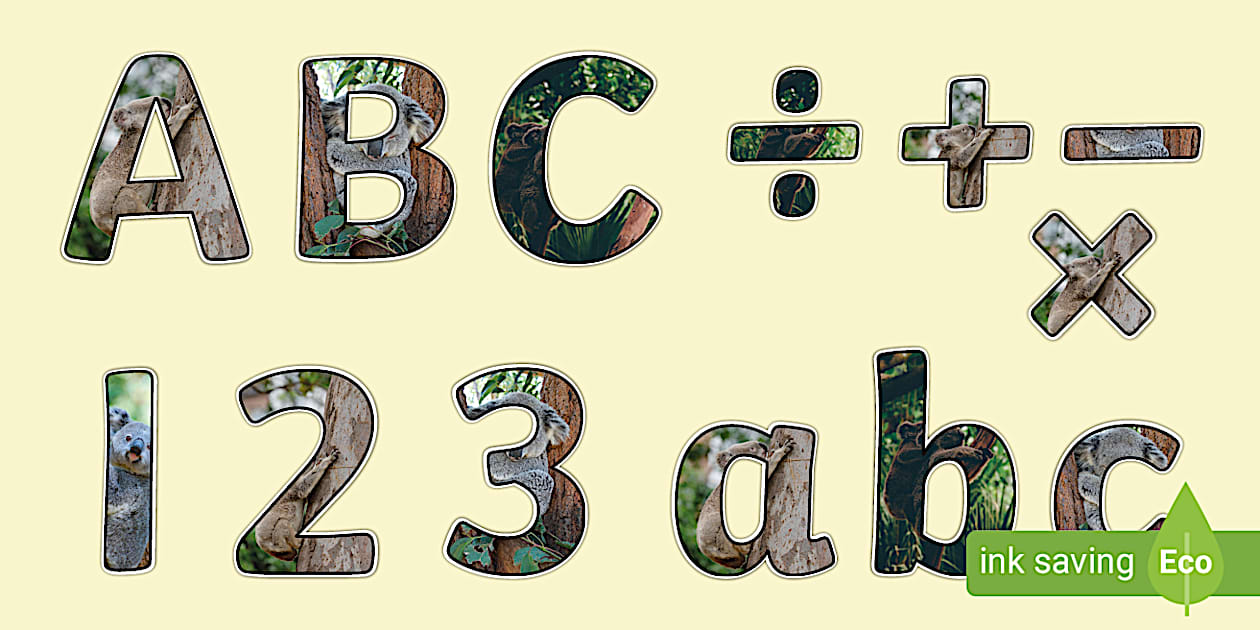 Koala Display Lettering (teacher made) - Twinkl