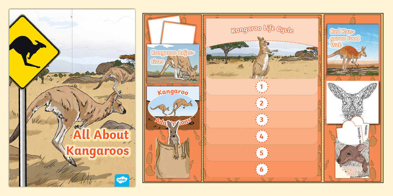 All About Kangaroos Lapbook Activity Pack (teacher made)