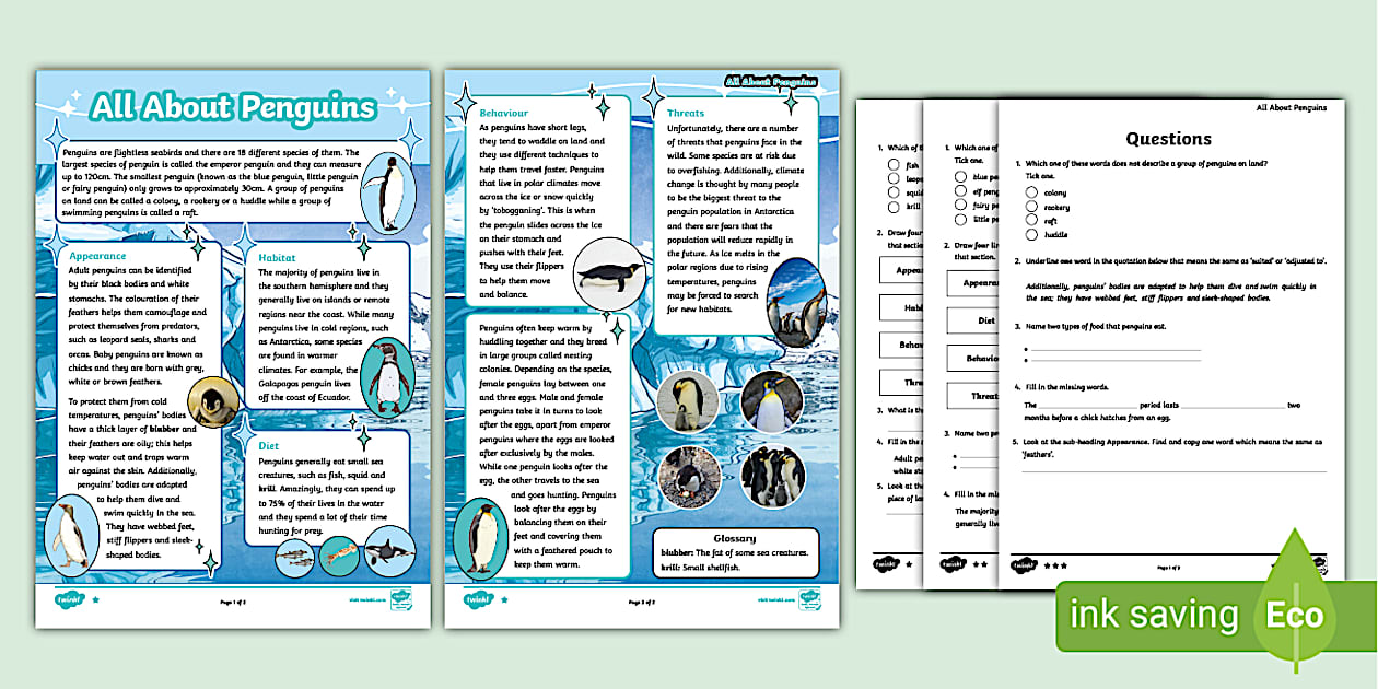 UKS2 All About Penguins Differentiated Reading Comprehension