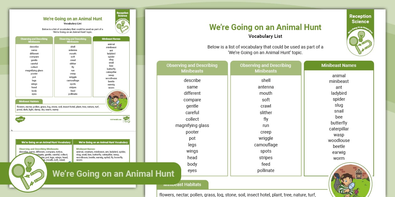 We're Going on an Animal Hunt Vocabulary White Rose Science