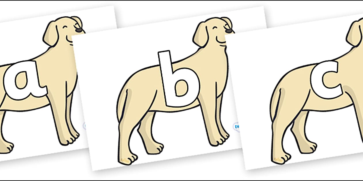 Phoneme Set on Dogs (teacher made) - Twinkl