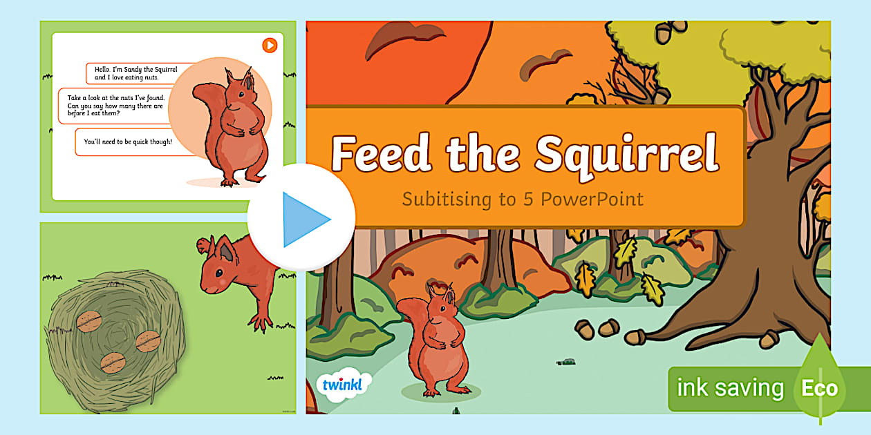 👉 Feed the Squirrel Subitising to 5 PowerPoint | Twinkl