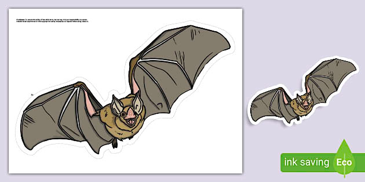 Bat Display Cut Out, Halloween (teacher made) - Twinkl