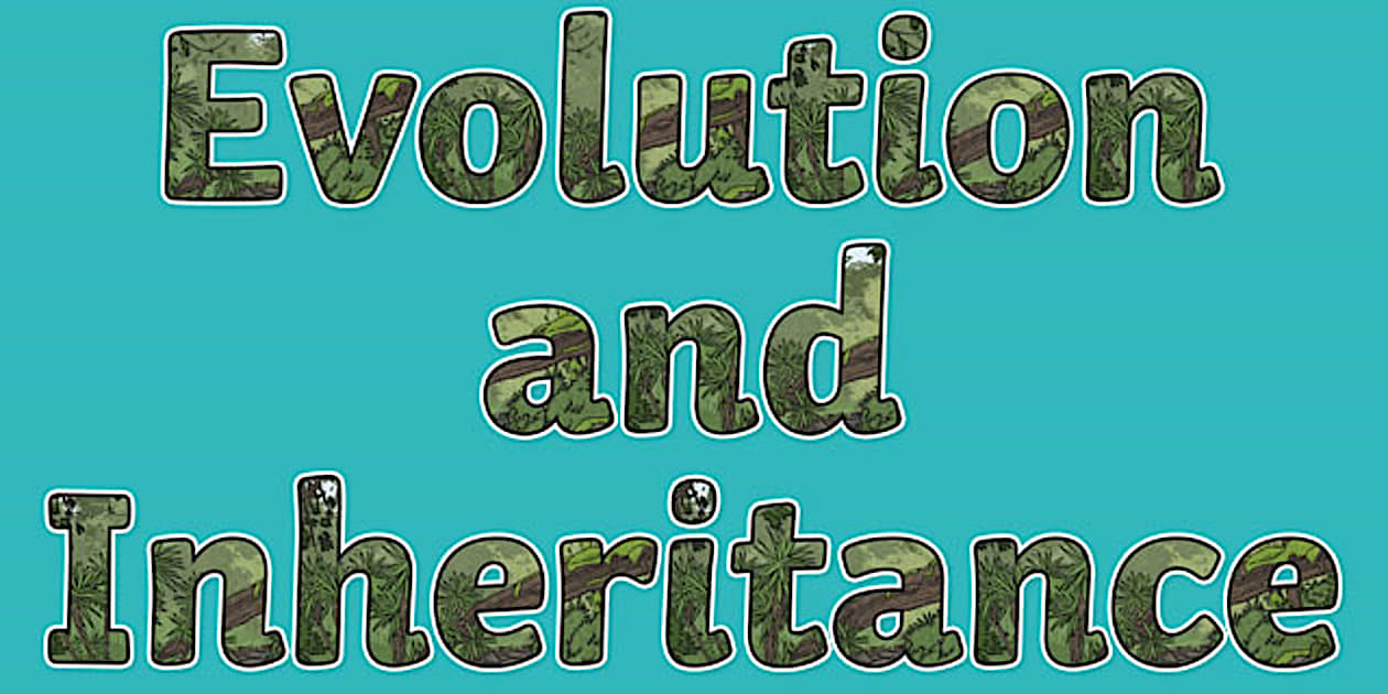 Cursive Evolution and Inheritance Display Lettering - Twinkl