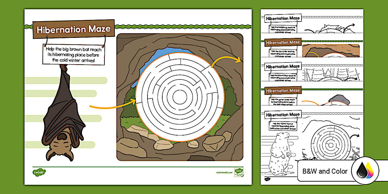 Prekindergarten Hibernation Maze Worksheets - Twinkl