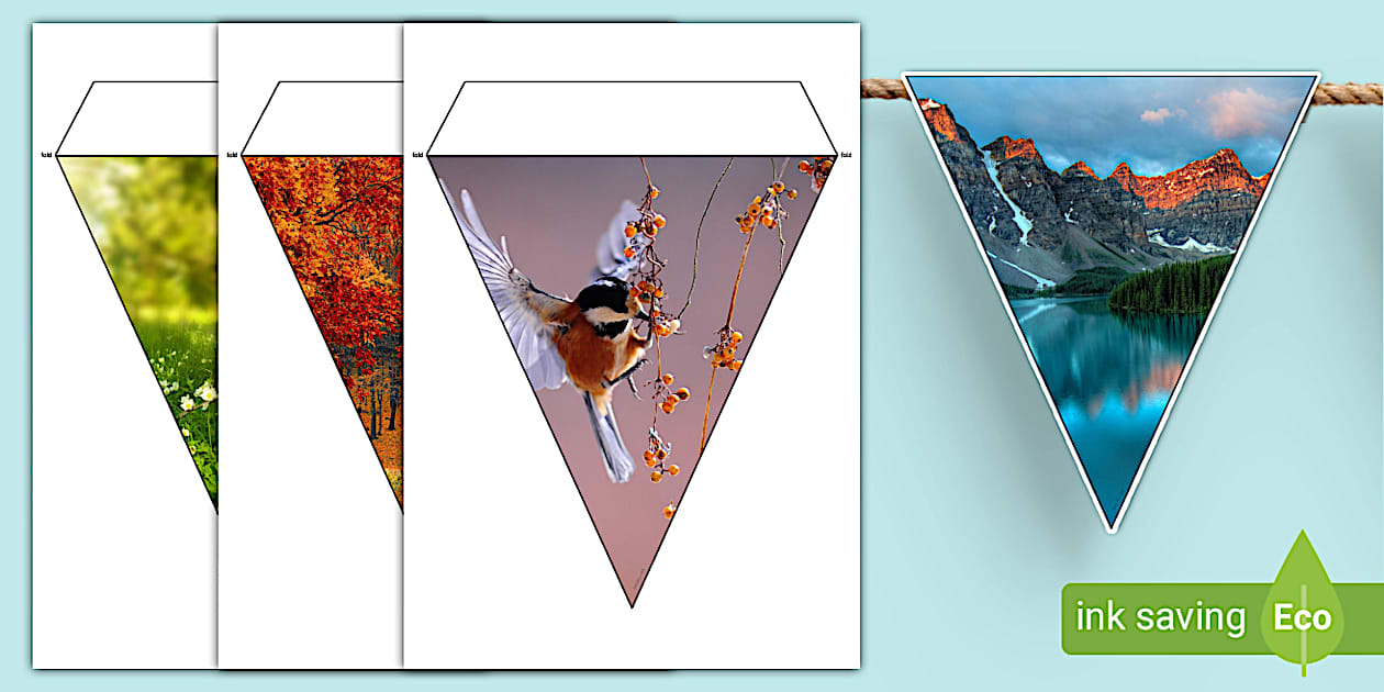 Nature Photo Display Bunting - Twinkl - KS1 - Twinkl