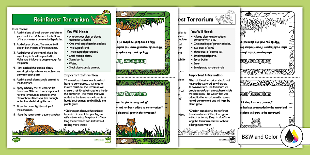 Rainforest Terrarium Worksheet (teacher made) - Twinkl