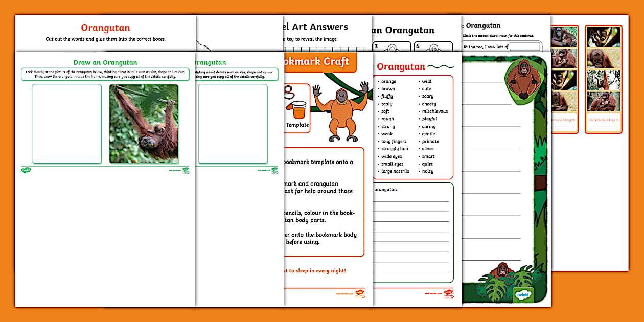 Orangutan Activities Pack (teacher made) - Twinkl