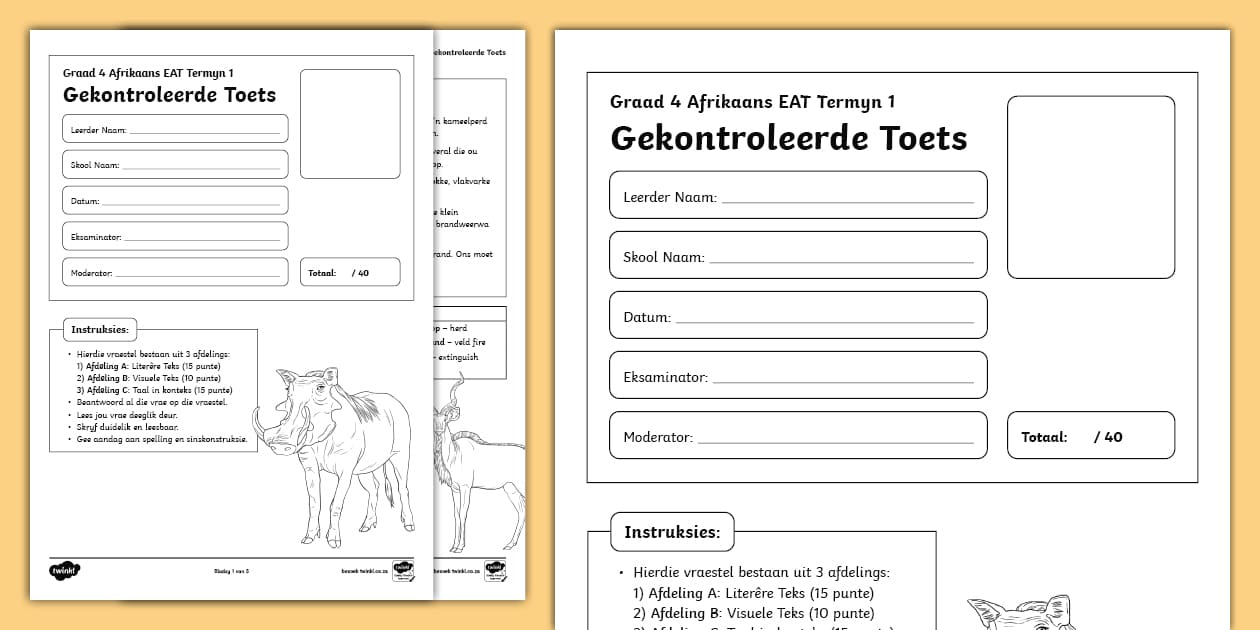 FREE! - Graad 4 Afrikaans EAT Termyn 1 Assessering - Twinkl