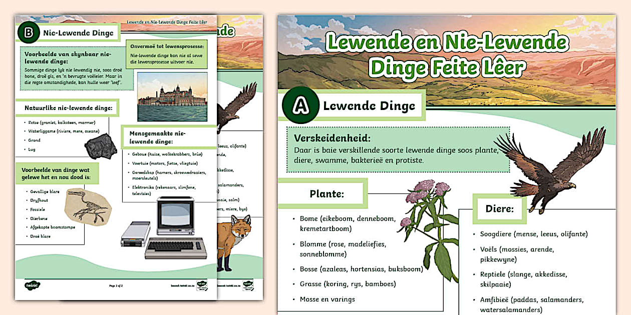 Gr 5 Lewende en Nie-Lewende Dinge Feite Lêer - Twinkl