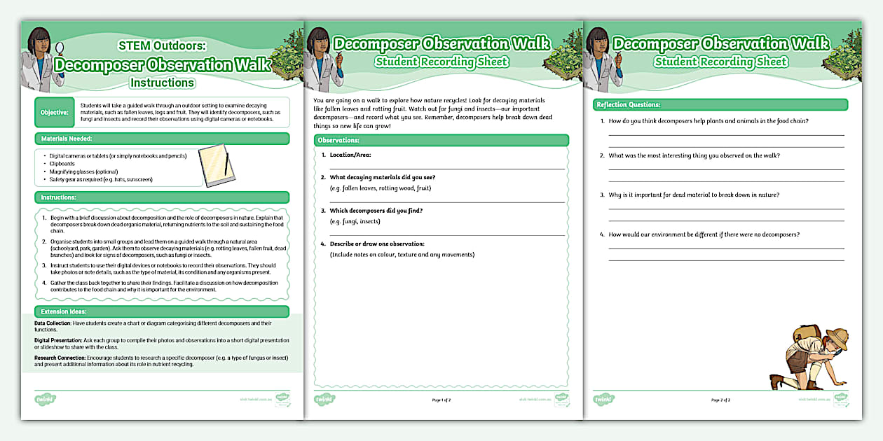 STEM Outdoors: Decomposer Observation Walk - Twinkl