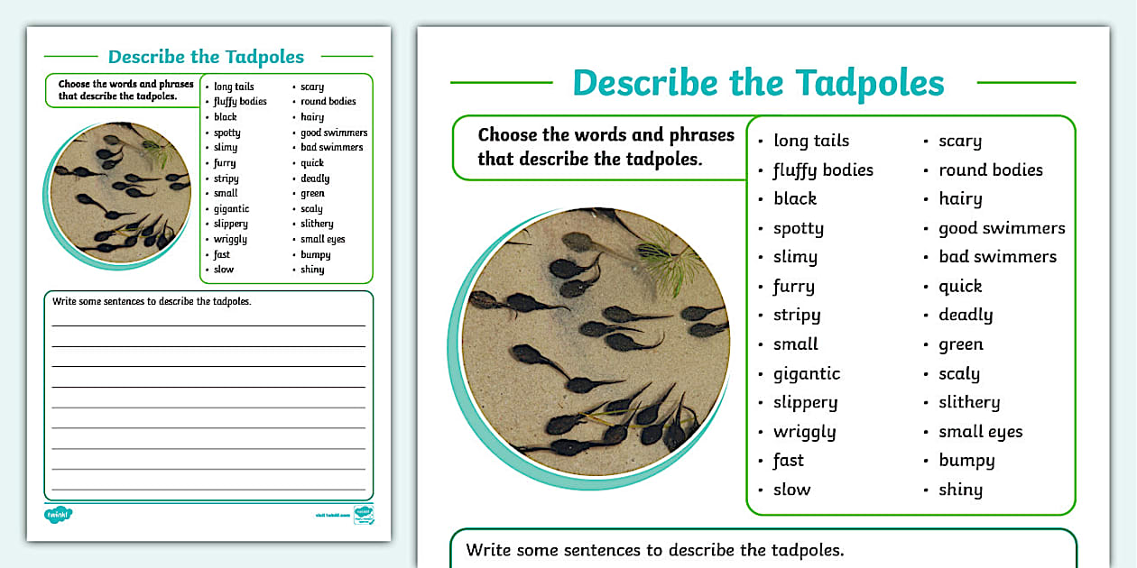 Describe the Tadpoles Writing Activity - KS1 (Teacher-Made)