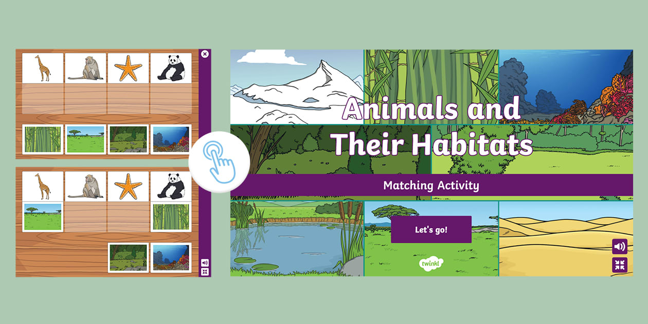 Animals and Their Habitats Interactive Matching Activity