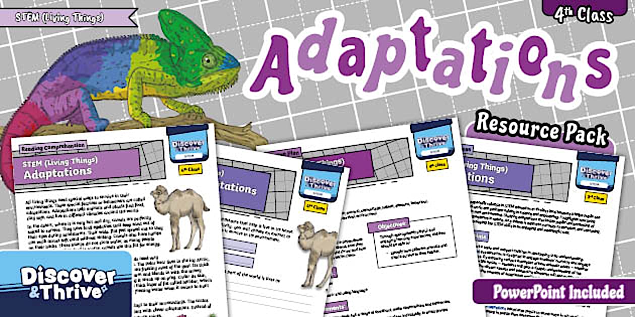 Adaptations Resource Pack 4th Class