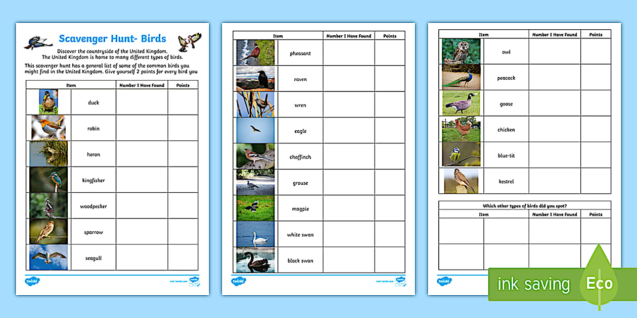 Nature Trail Worksheet For Kids - Nature Walk (Teacher-Made)