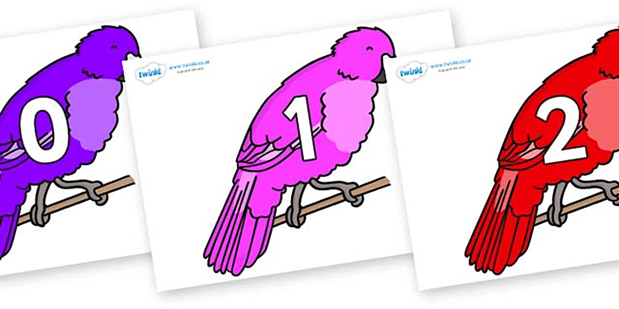 Numbers 0-100 on Parakeets (Teacher-Made) - Twinkl
