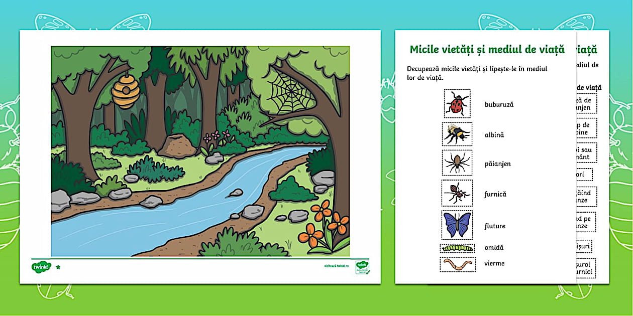 Micile vietăți și mediul de viață – Fișă de activitate