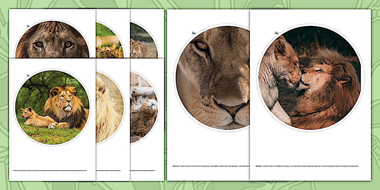 Lions Circle Display Photo Cut-Outs (Teacher-Made) - Twinkl