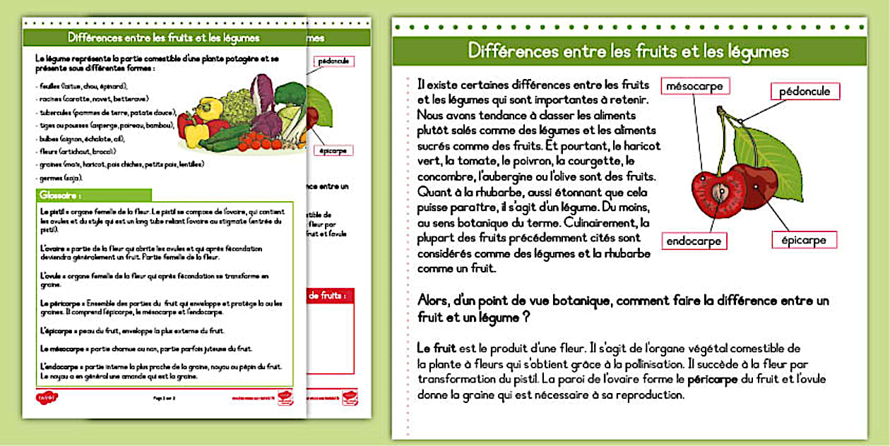 Différences botaniques entre un fruit et un légume