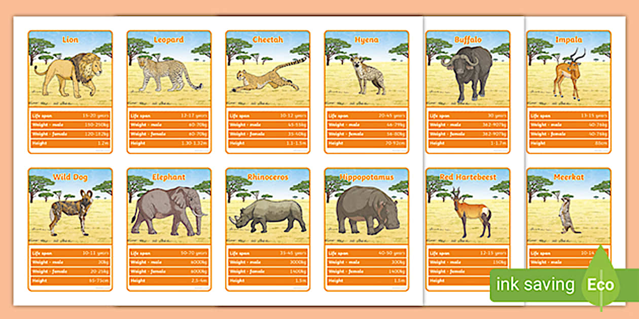 African Animal Top Cards Game (teacher made) - Twinkl