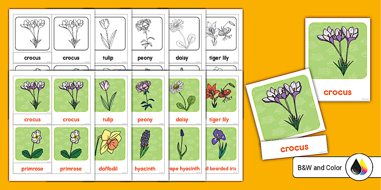 Three-Part Cards for Spring Flowers With Illustrations