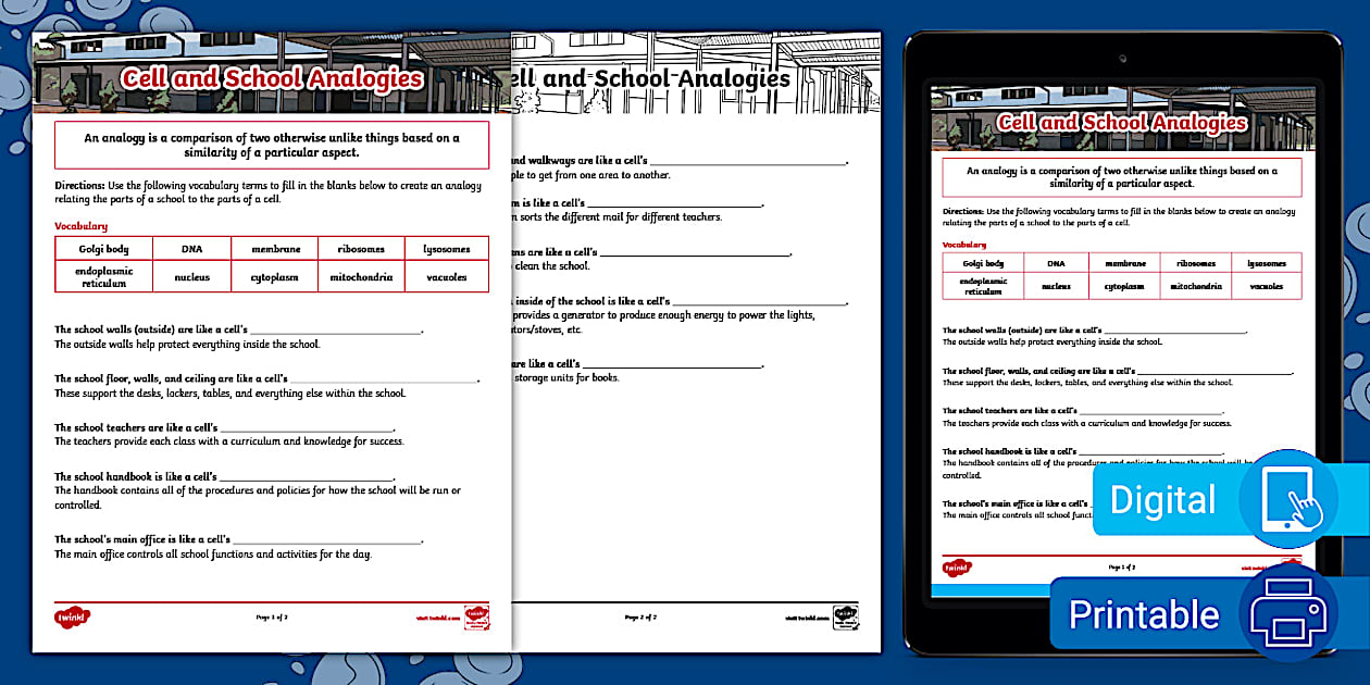 Cell and School Analogies for 6th-8th Grade (Teacher-Made)