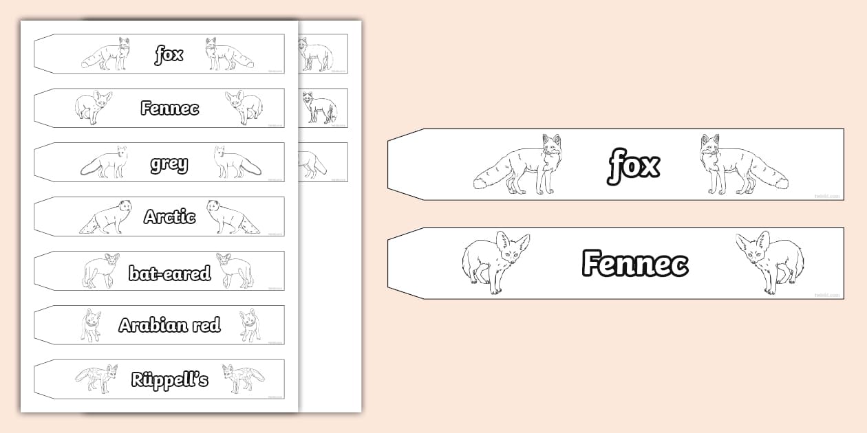 Types of Foxes Colouring Paper Chains - Twinkl