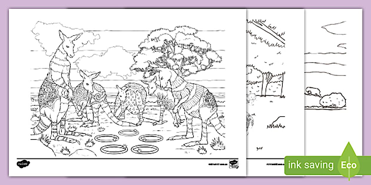 Native Australian Animals Mindfulness Colouring Pages