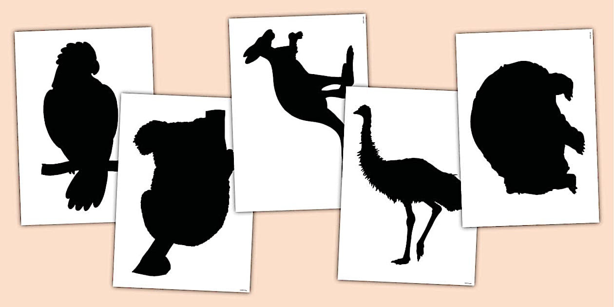 Black and White Australian Animal Flash Cards (teacher made)