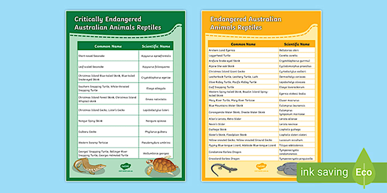 Endangered Australian Reptiles Display Posters - Twinkl