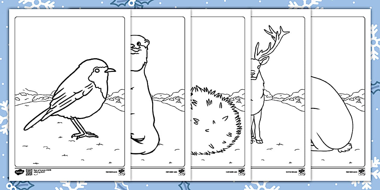 Winter Animals Colouring Pages (teacher made) - Twinkl
