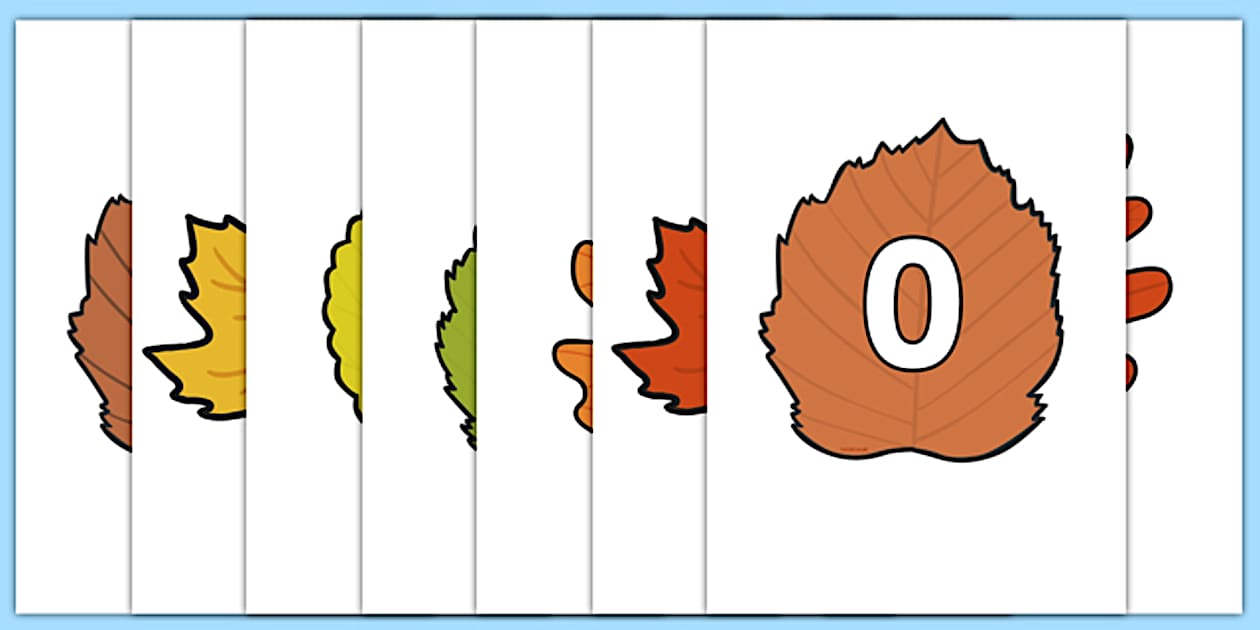 0-50 on Autumn Leaves (teacher made) - Twinkl