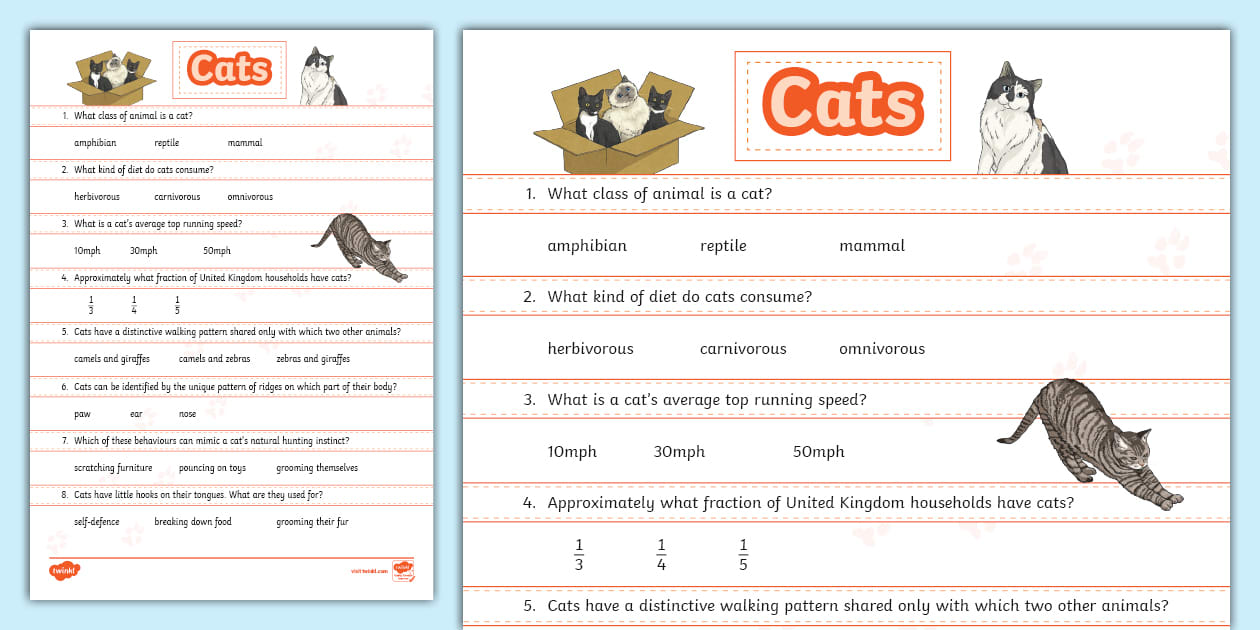 KS2 International Cat Day Quiz - Science - Animals - Twinkl