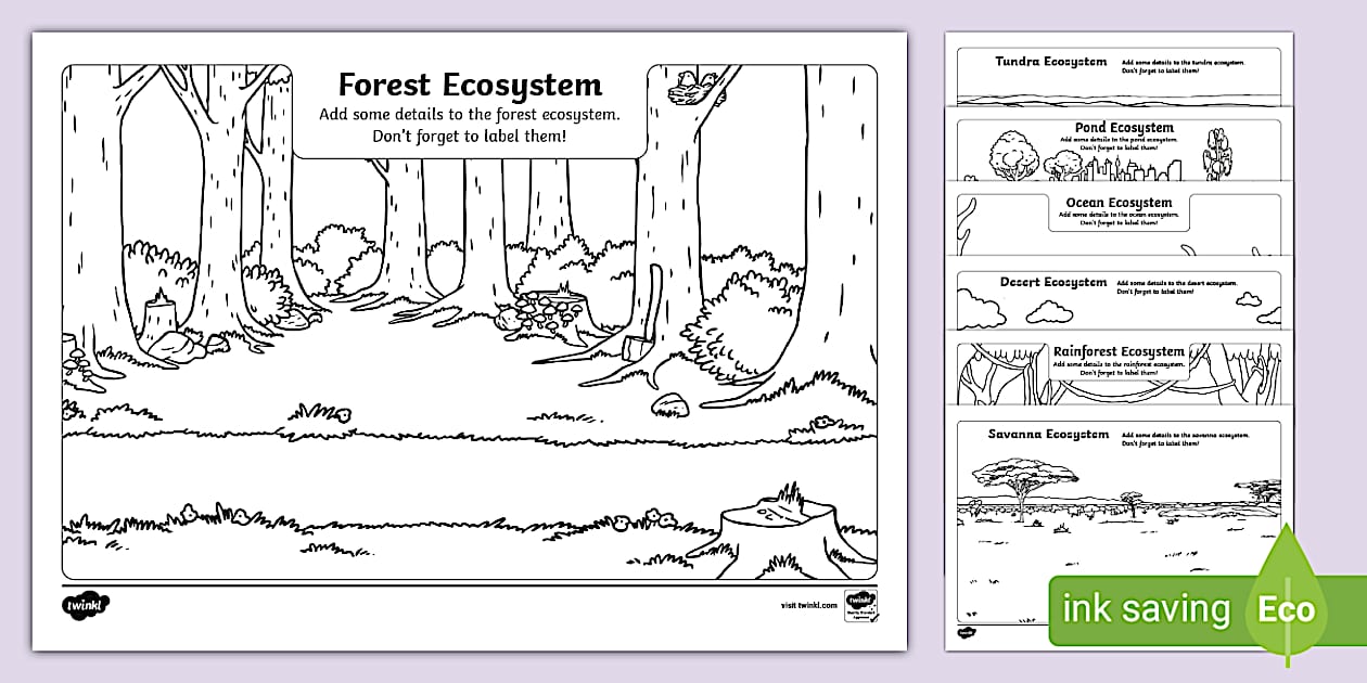 Draw the Ecosystems Pack (teacher made) - Twinkl
