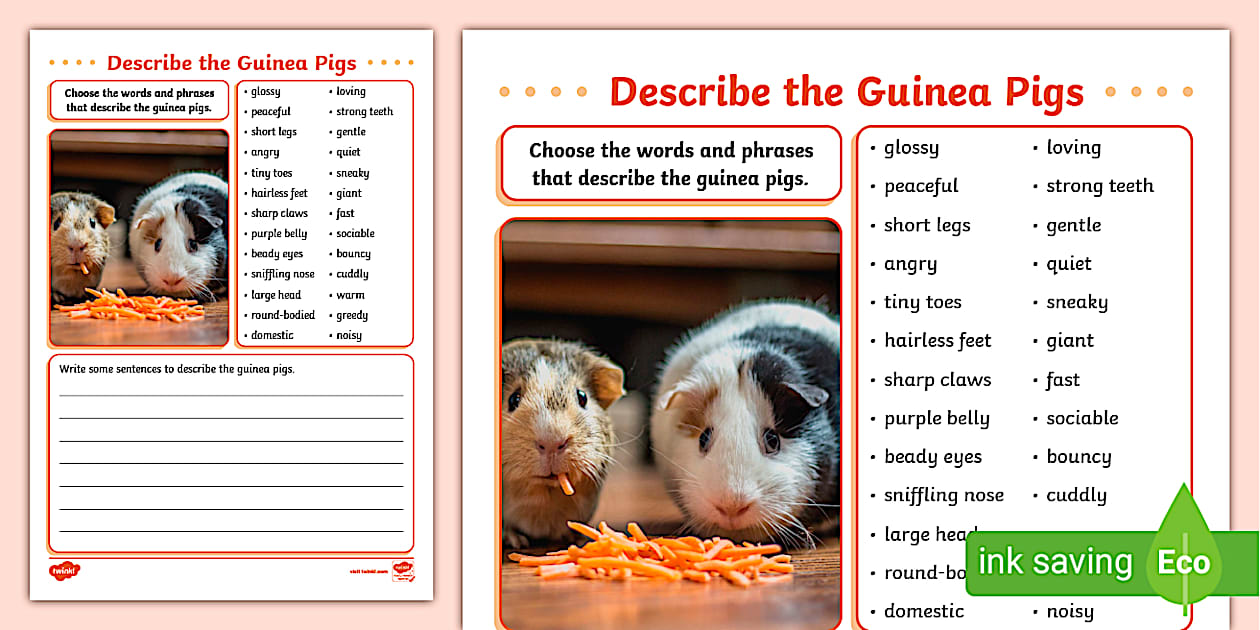Describe the Guinea Pigs Writing Activity Sheet - Twinkl