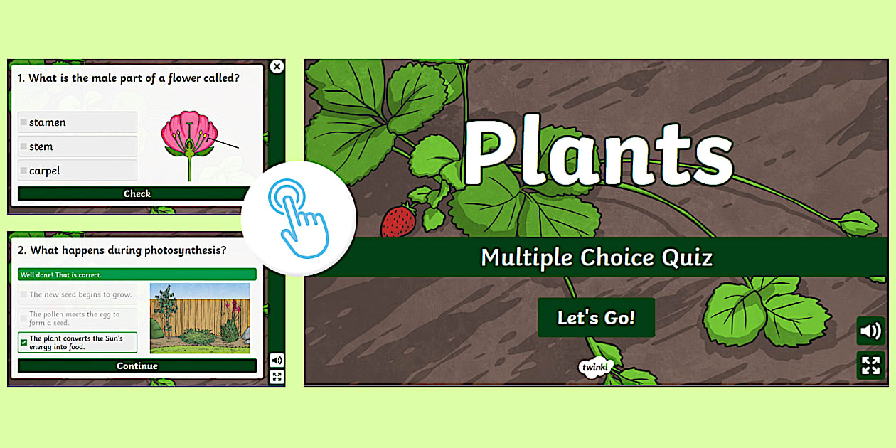 Multiple Choice KS2 Plant Quiz | Twinkl Go! (Teacher-Made)