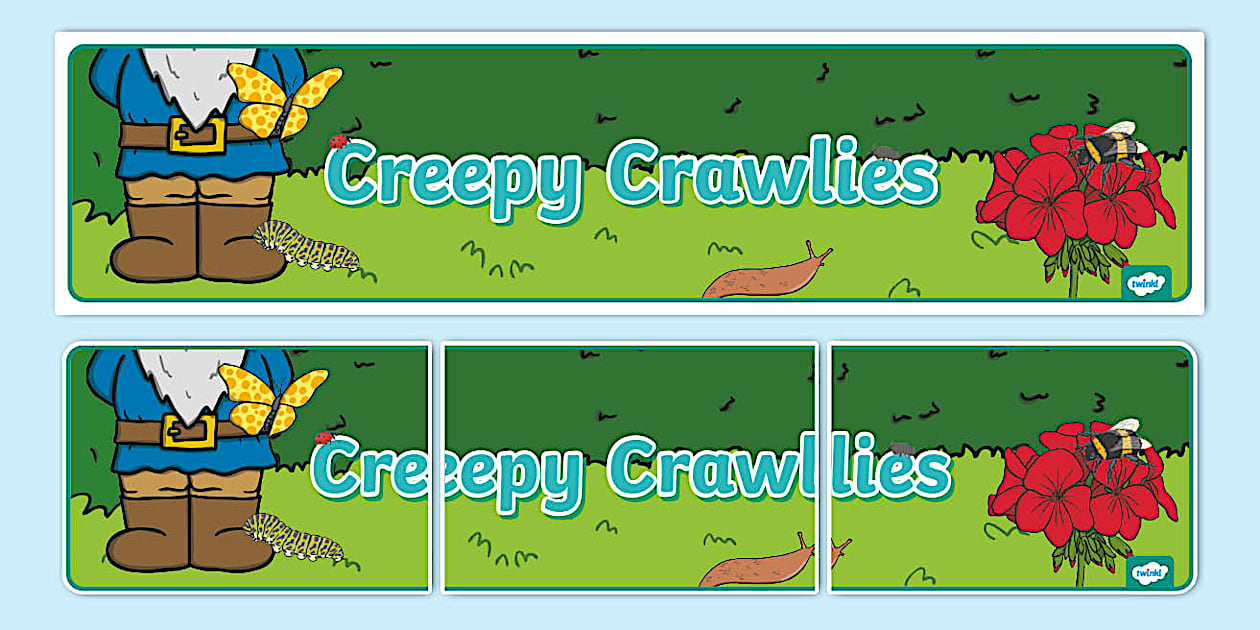 Creepy Crawlies Display Banner (teacher made) - Twinkl
