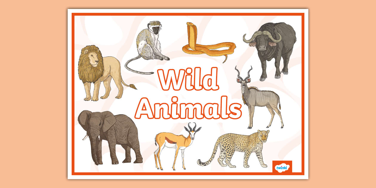 Wild Animals Display Poster