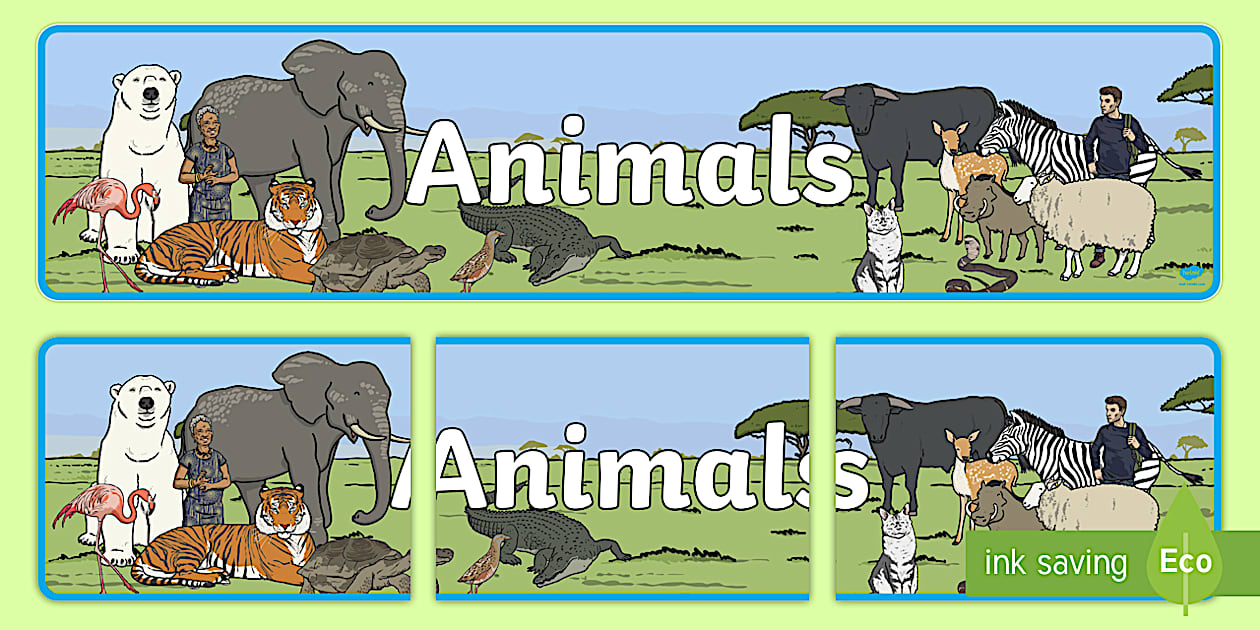 👉 Animals Display Banner | Primary Resources - Twinkl