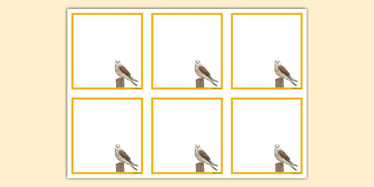 Kestrel-Themed Square Peg Labels (teacher made) - Twinkl
