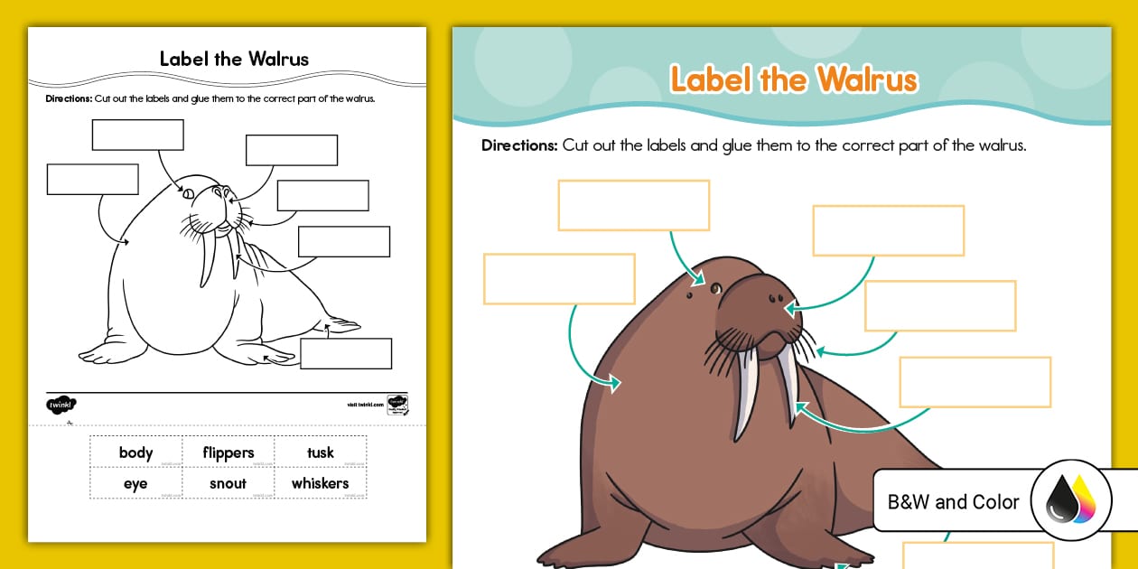 Early Childhood Label the Walrus Cut and Paste Worksheet