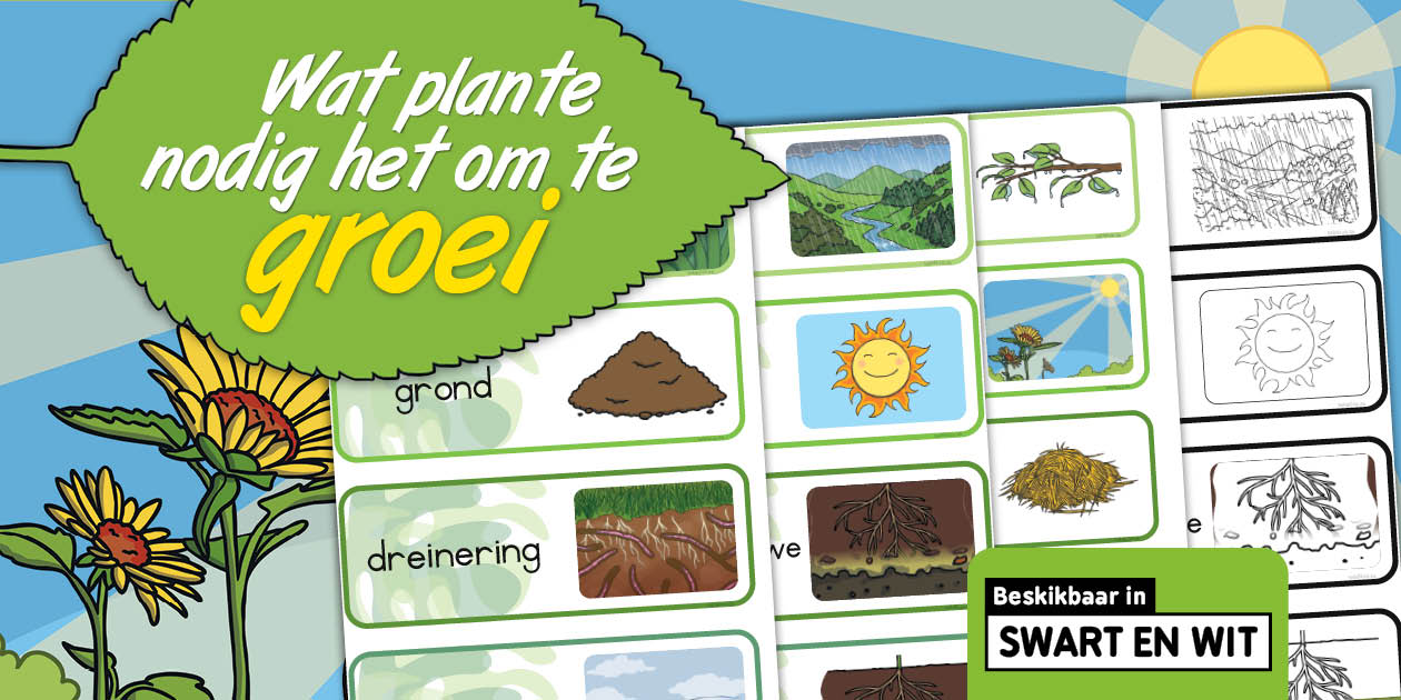 Wat Plante Nodig Het om te Groei: Woordkaarte