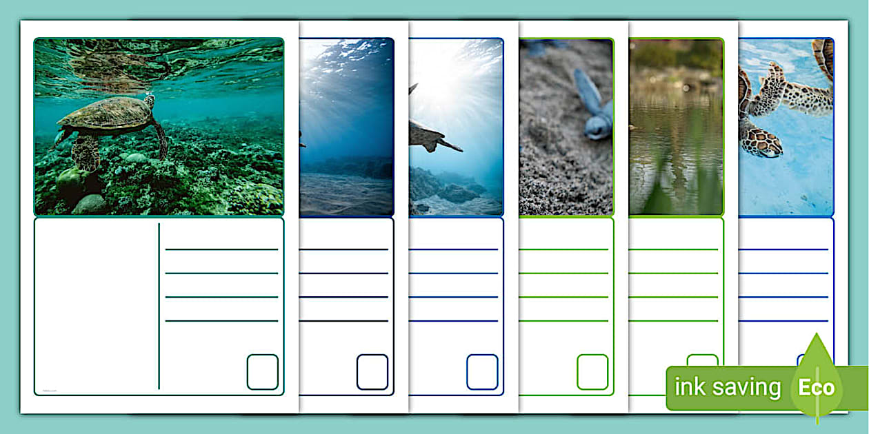 Discover the delightful turtle postcards for children.