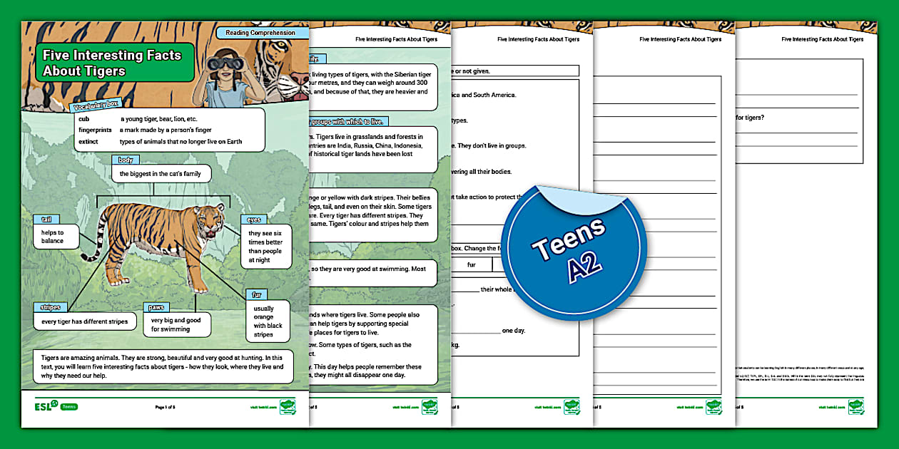 Tiger Facts Reading Comprehension [Teens, A2] (Teacher-Made)