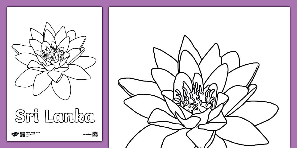 National Flower of Sri Lanka Colouring Sheet (teacher made)