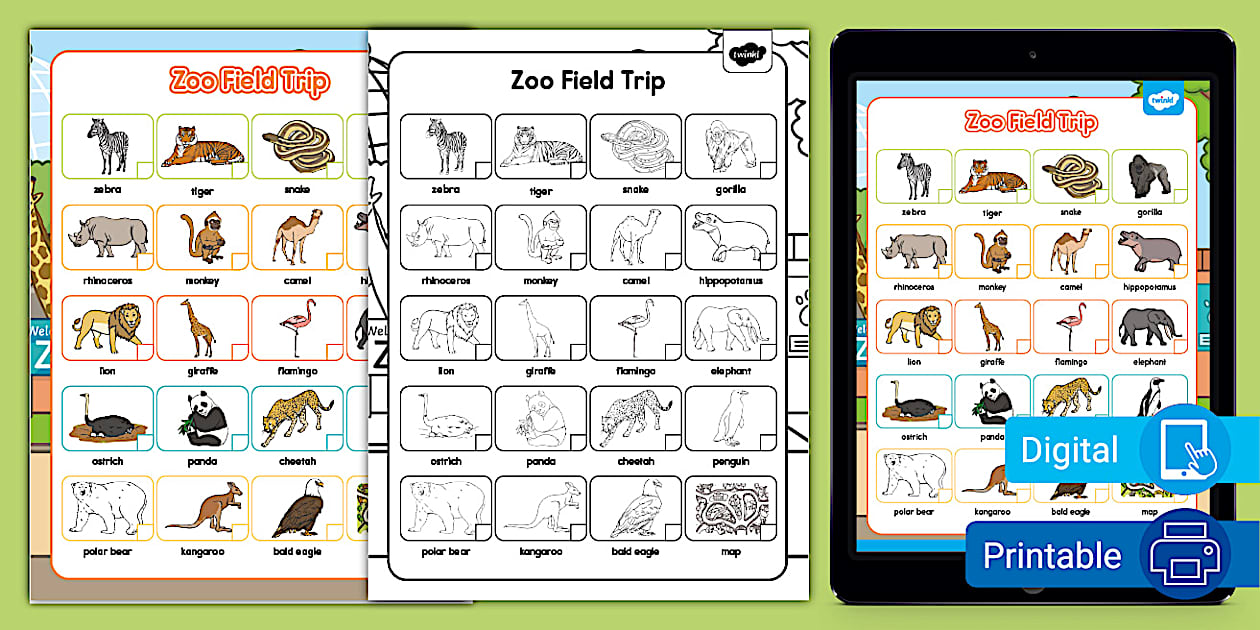 Zoo Scavenger Hunt Activity | Life Science | Twinkl USA