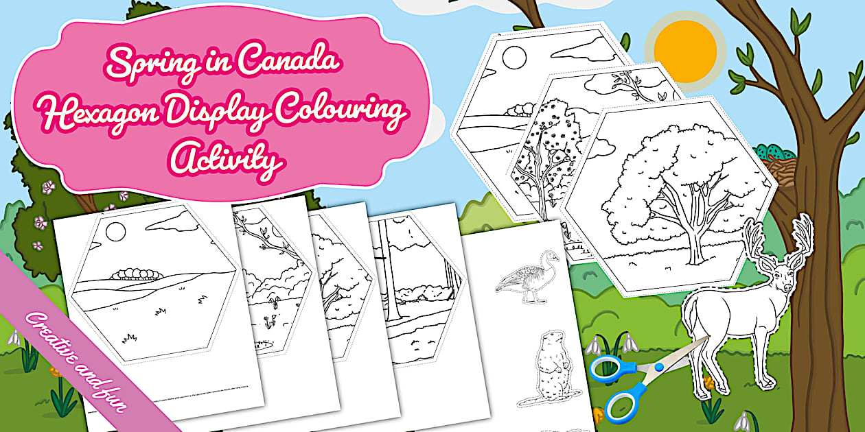 Spring in Canada Hexagon Display Colouring Activity