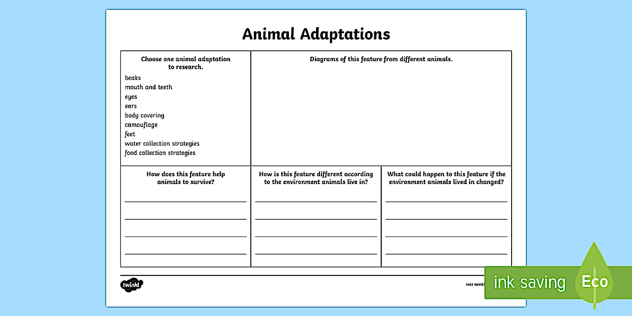 Editable Animal Adaptations Research Worksheet - Twinkl
