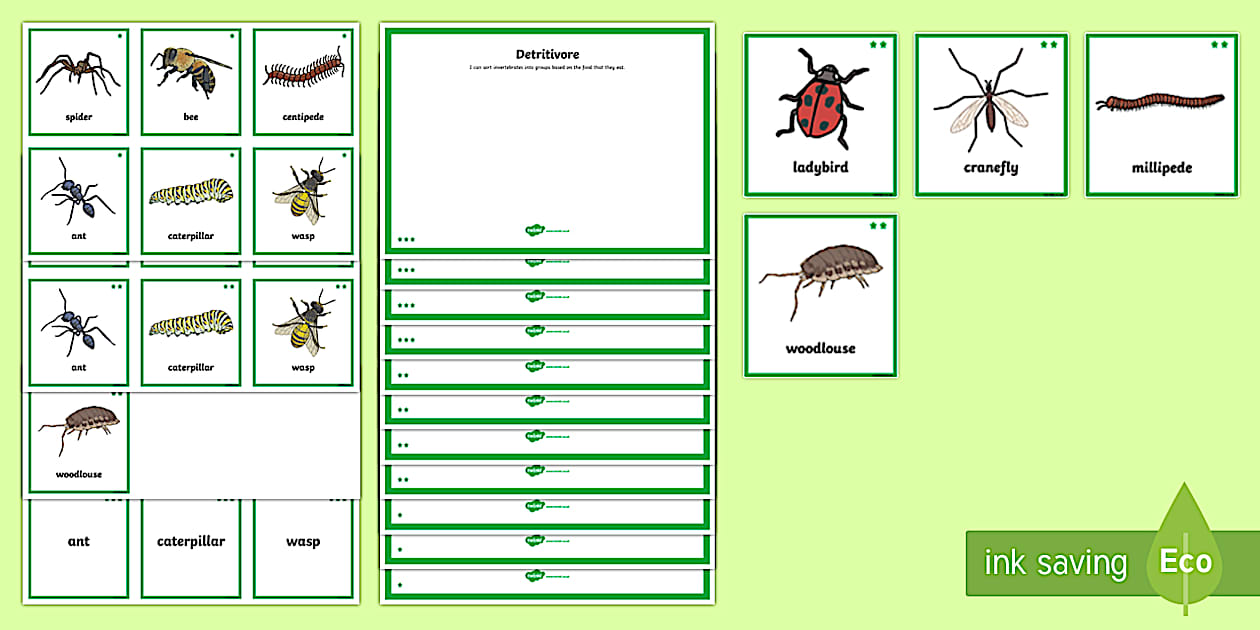 Editable Differentiated Invertebrate Food Sorting Worksheet